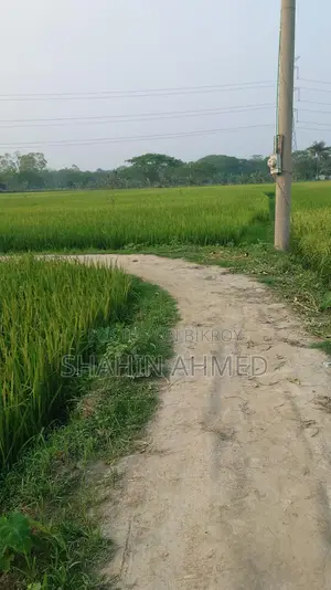 Land & Plots For Sale in Kishoreganj Sadar Prices in May 2026 on bikroy.com