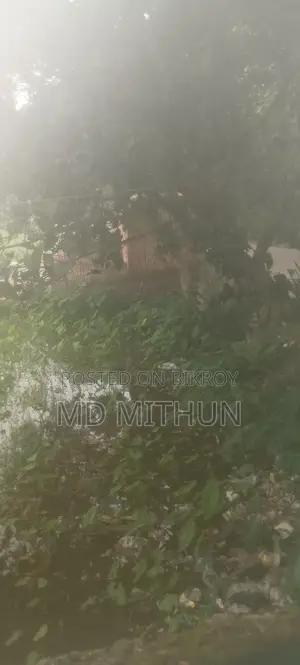 Land & Plots For Sale in Kishoreganj Sadar Prices in May 2026 on bikroy.com